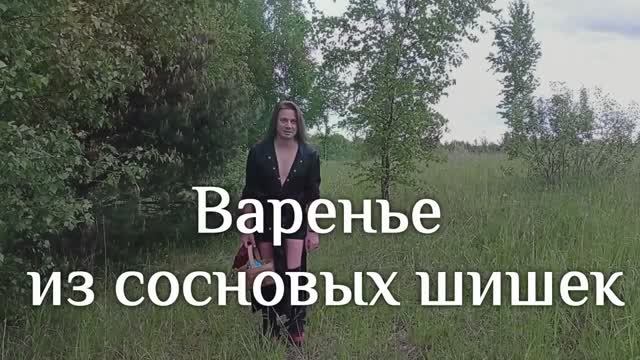 Варенье из сосновых шишек
