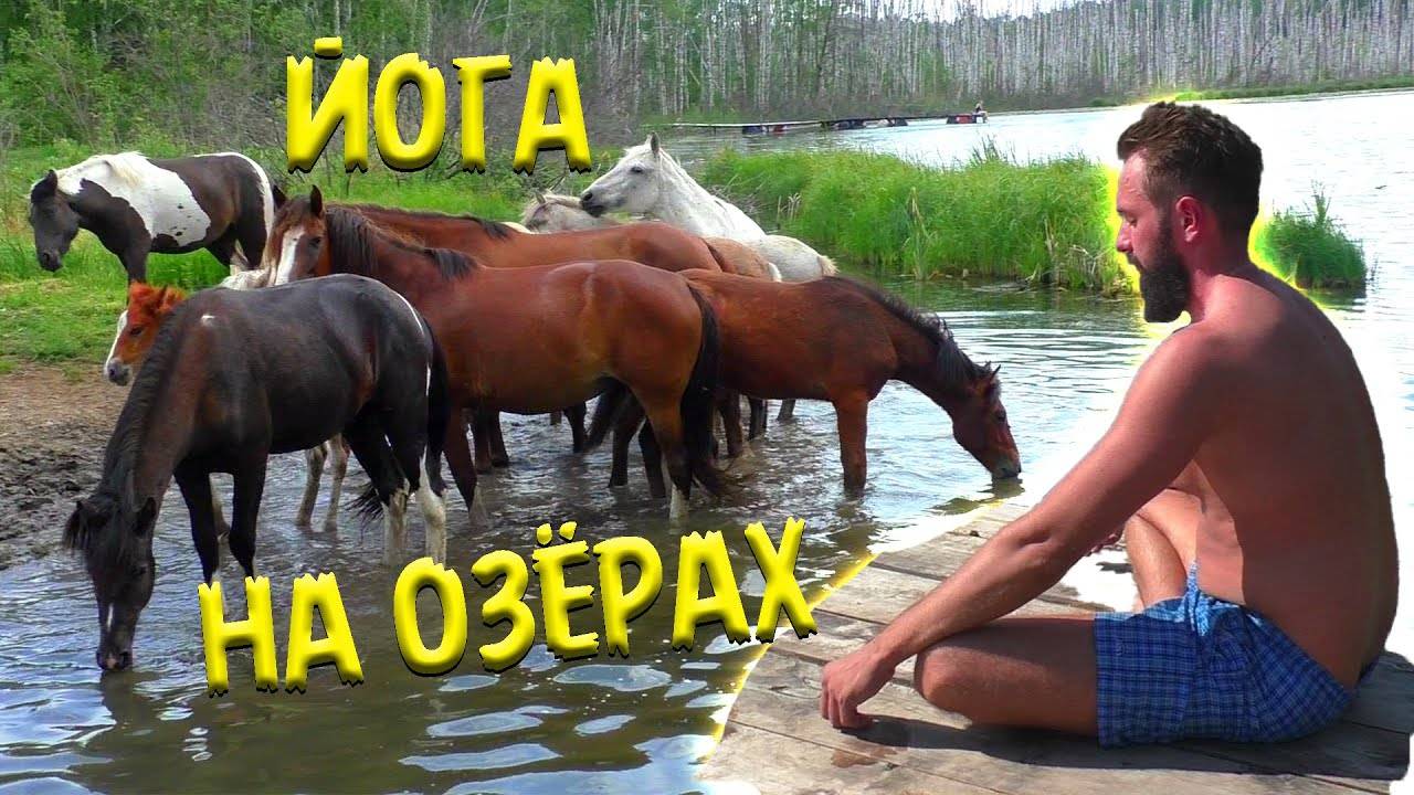 302. Лошади разогнали отдыхающих. Деревенский поэт и группа йогов на озере Данилово. Деревня Окунево