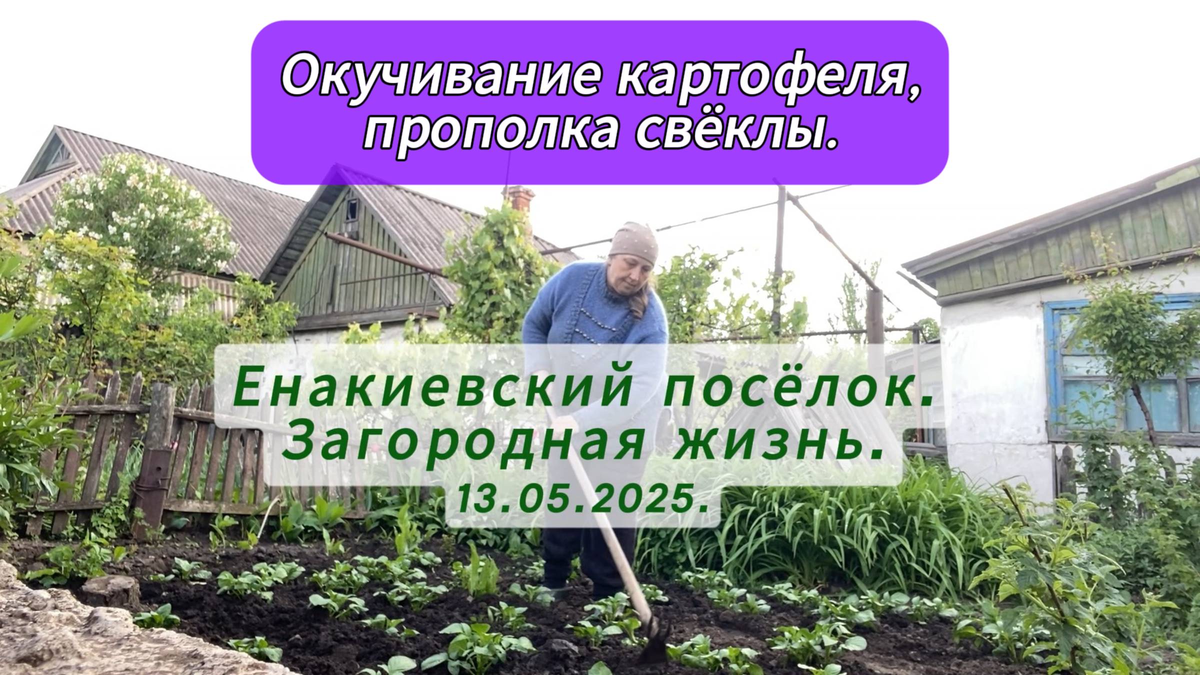2025. "Дачные истории | Окучивание картофеля, прополка свёклы". 13.05.2025.