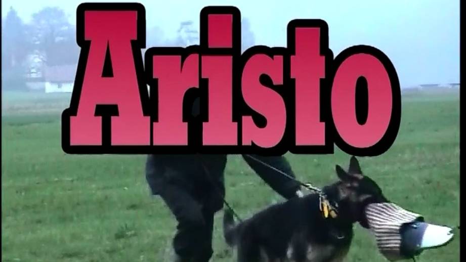 Aristo занятие 16
