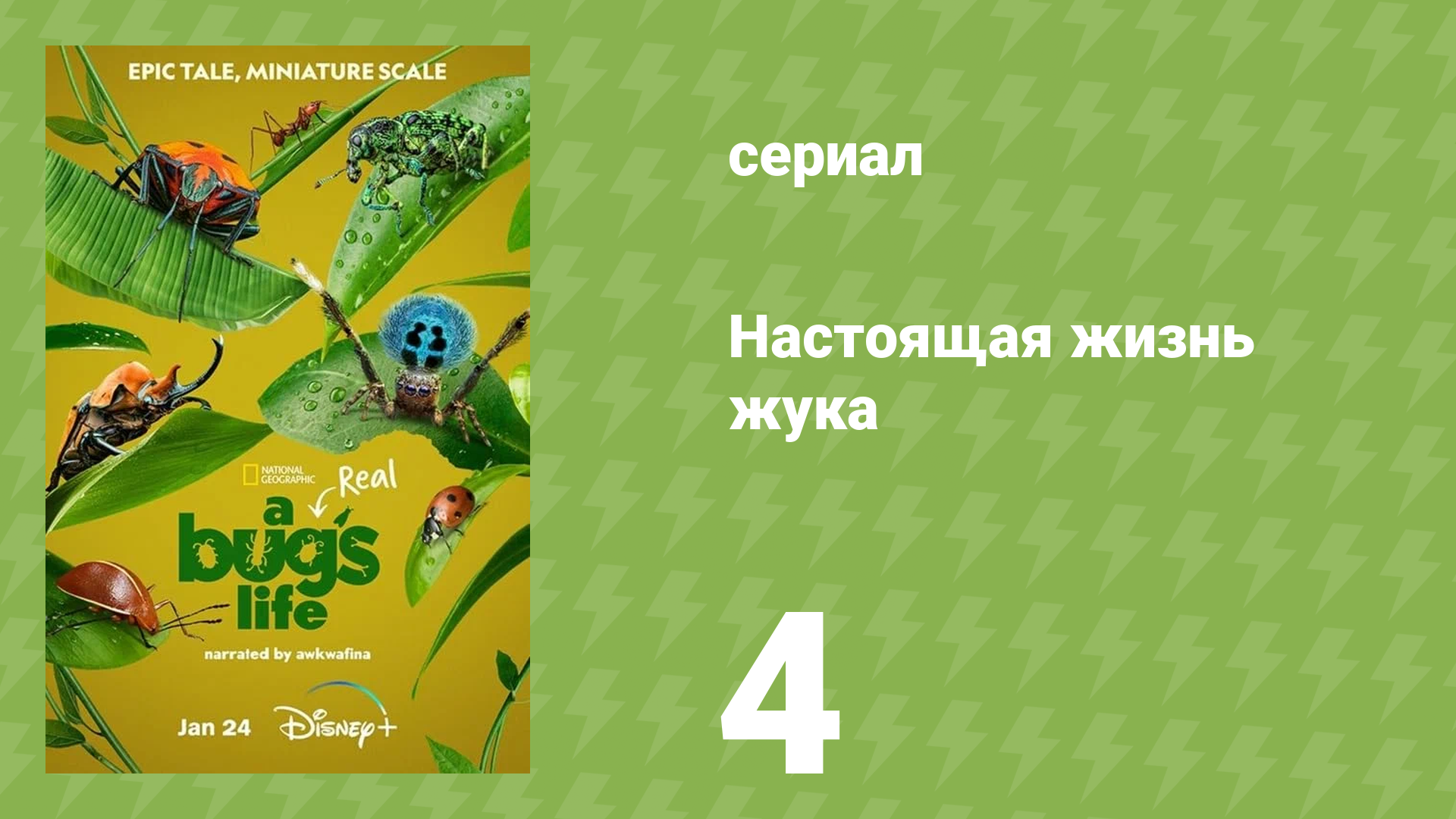 Настоящая жизнь жука 1 сезон 4 серия «Смельчаки с заднего двора» (документальный сериал, 2024)