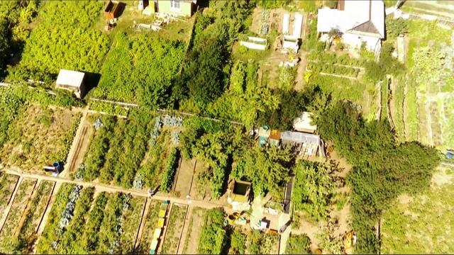 Рубцовск, Садовое Товарищество №7, Ежевичная улица. Съемка с дрона