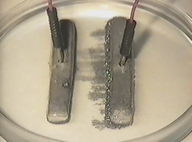 Физика. Опыты. Электричество и магнетизм. Электрический ток в жидкостях. Сатурново дерево