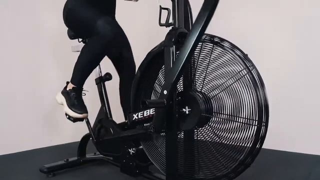 Аэробайк XEBEX AB-1