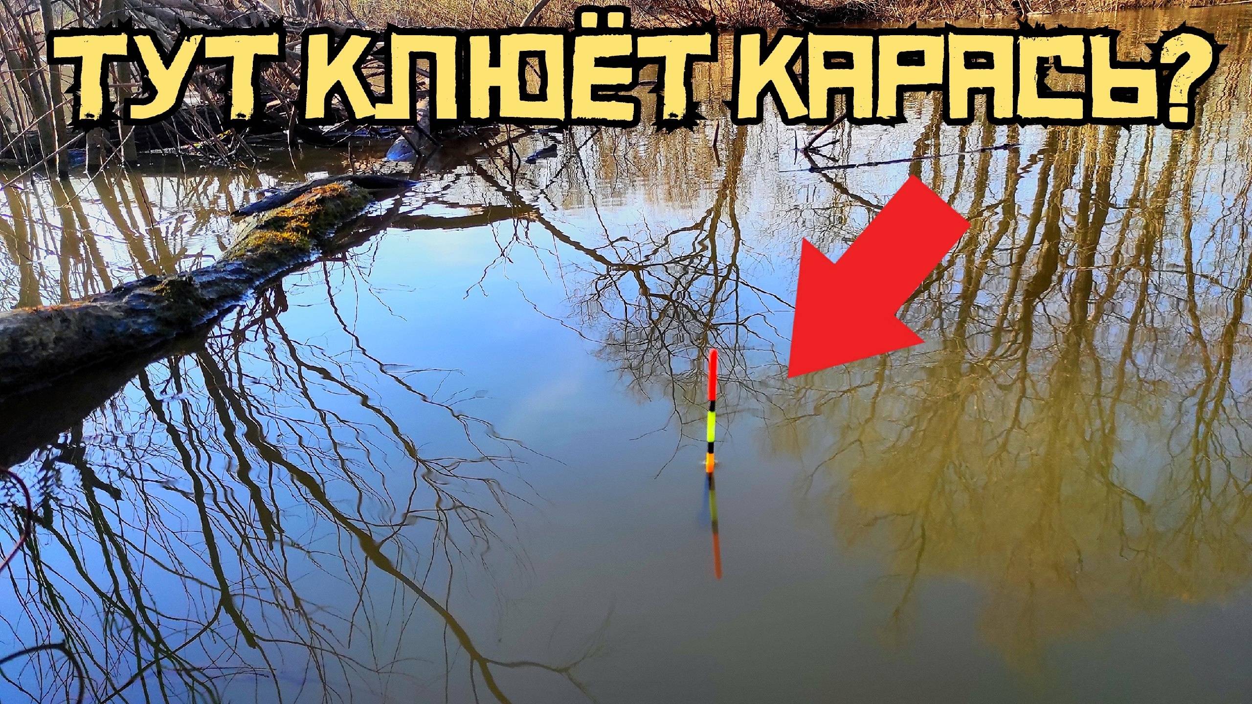 ЗАКИНУЛ в БОБРОВУЮ ПРОТОКУ и повело поплавок! Это карась?! Рыбалка в мае 2025