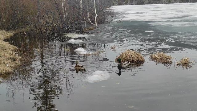 На прогулке