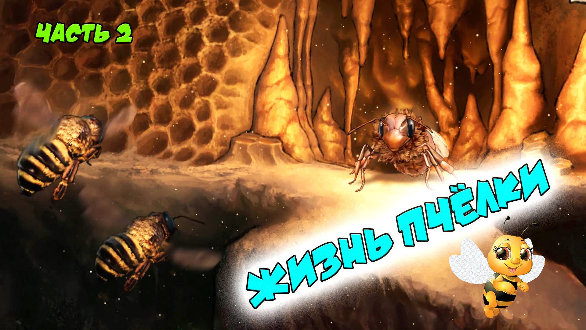Жизнь Пчёлки 🐝 | Часть 2