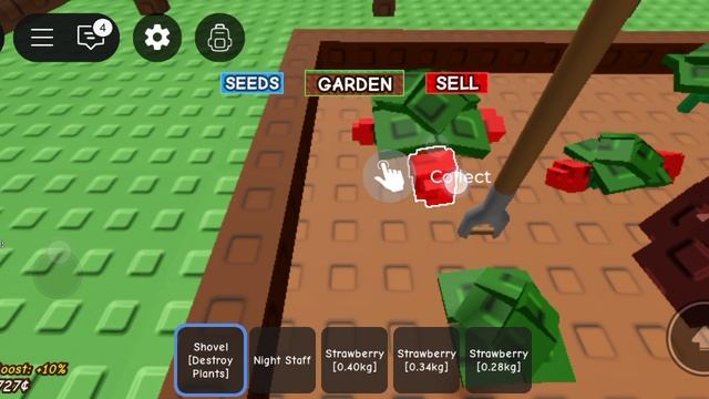 открываем паки с семенами из ежедневных квестов