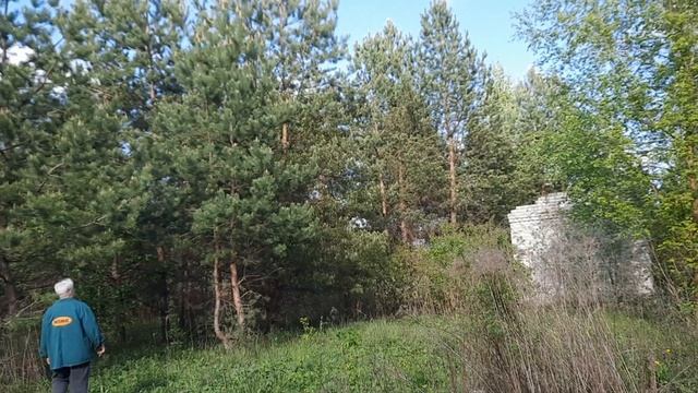 СЮРПРИЗ В ЛЕСУ