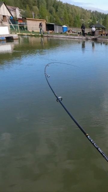 На первом же забросе. Мисайлово. #shorts