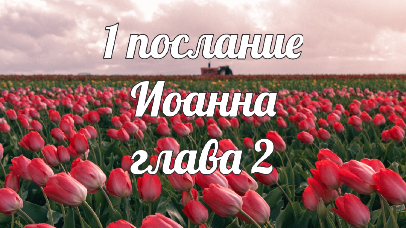 1 послание апостола Иоанна глава 2