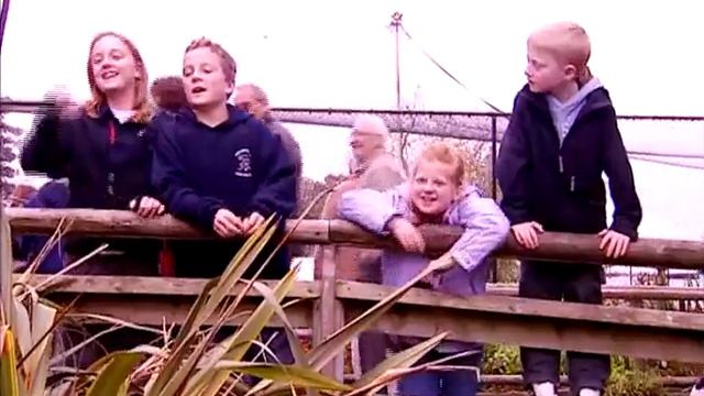 Lets go to the zoo l Wild animals for kids