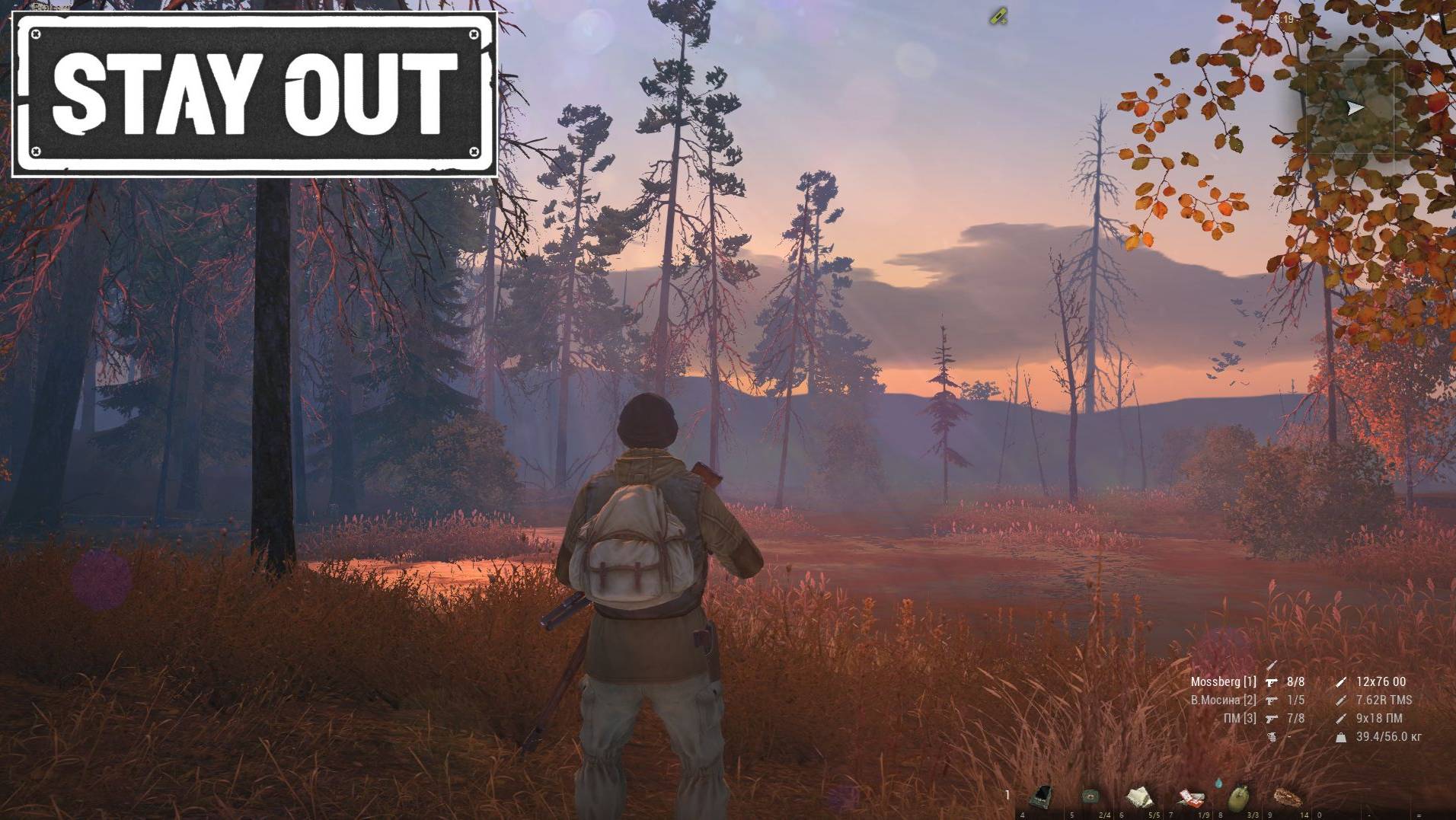 Stay Out (Сталкер Онлайн)