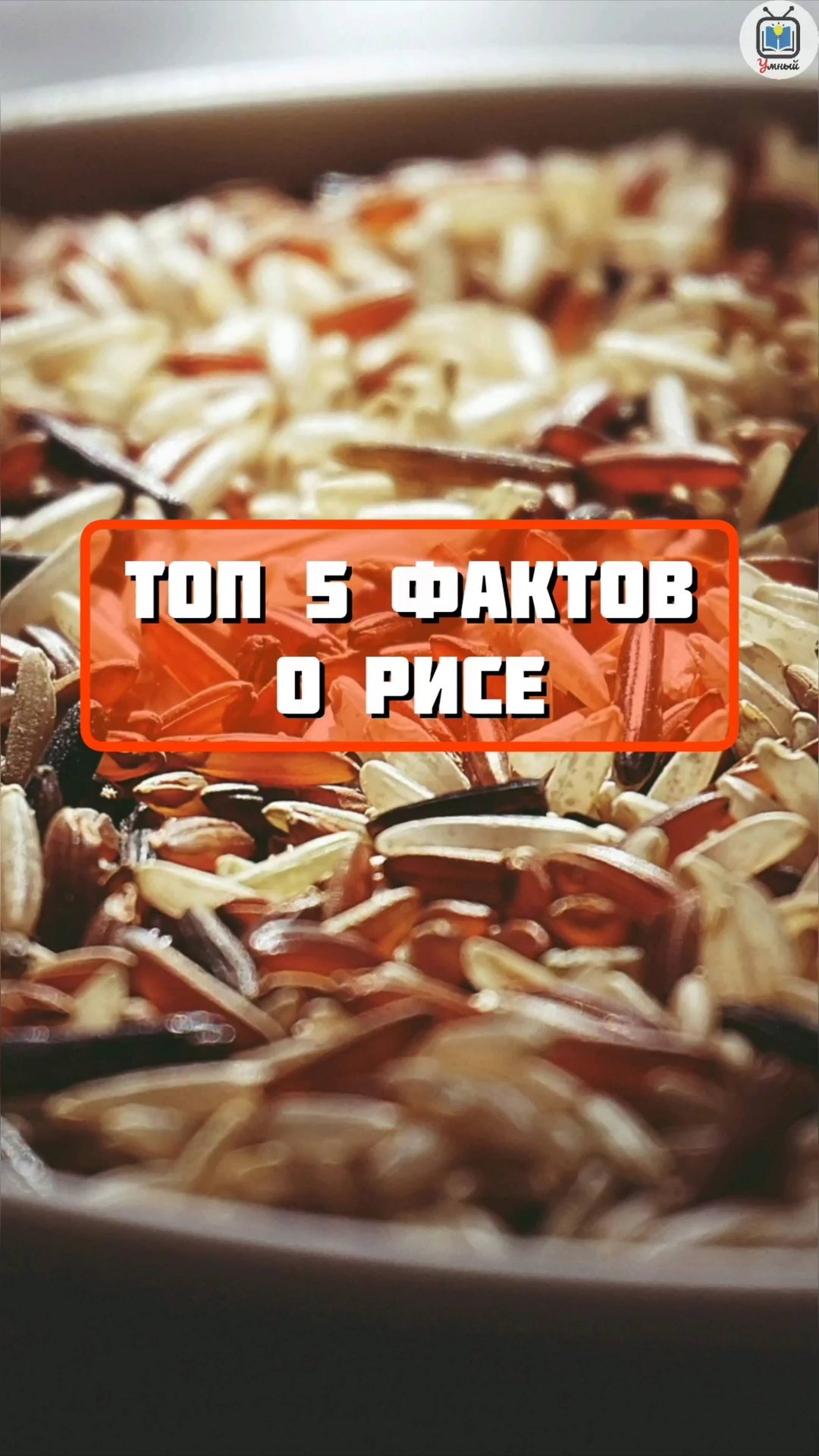 Топ 5 фактов о рисе #еда #факты #рис