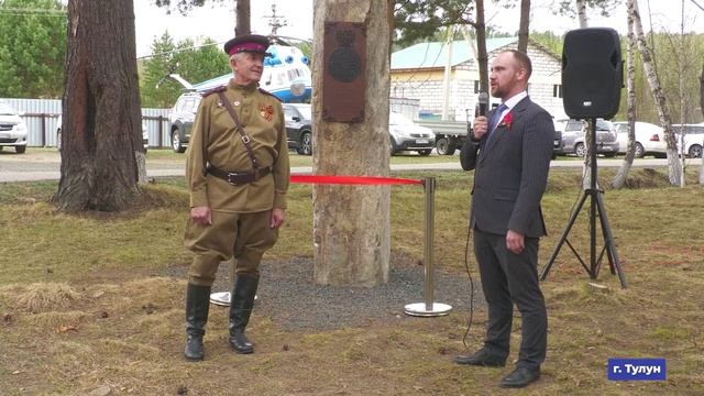 Коллаж 15.05.2025