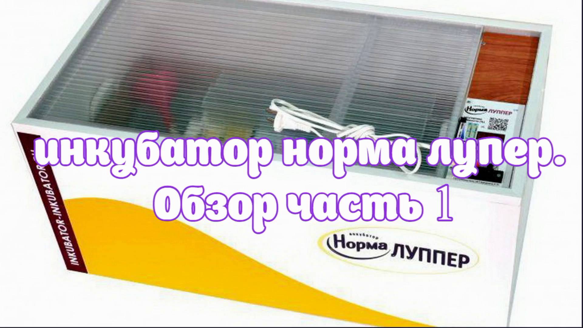 Инкубатор Норма Луппер. Обзор. Часть1