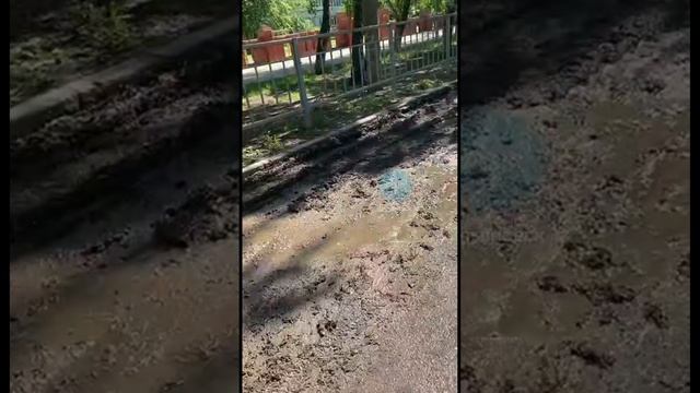 Жители бульвара Новосондецкого жалуются на плохое состояние проезжей части.