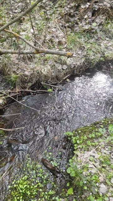 Весенний май