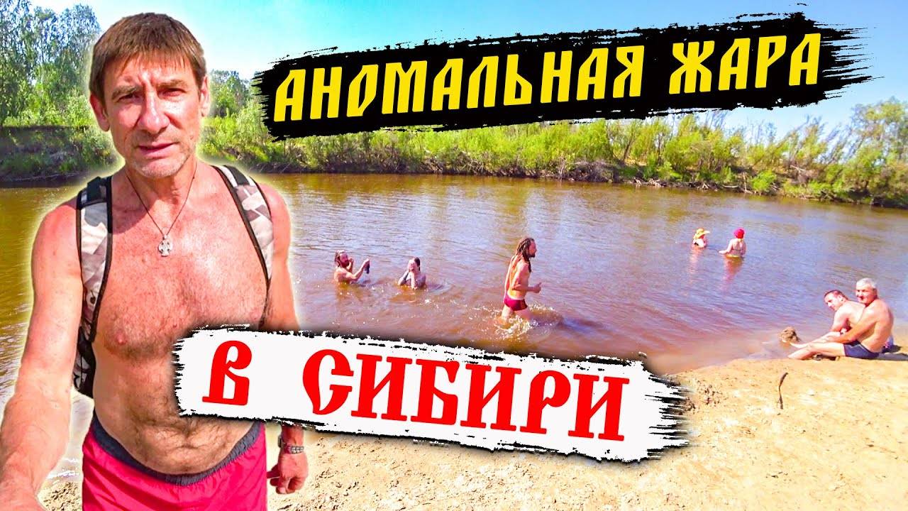 360 Жара забирает все силы. Отобрали последний островок тишины. Деревня Окунево Омская область.