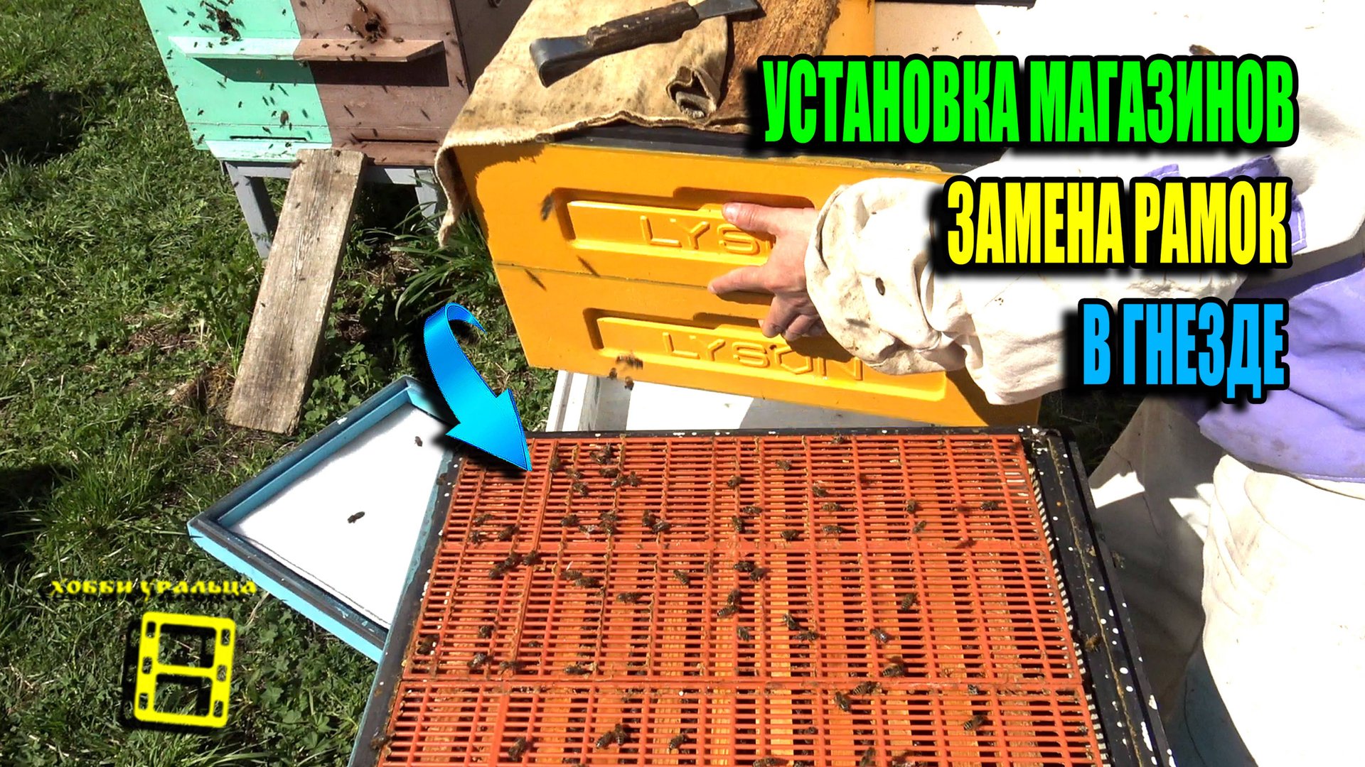 УСТАНОВКА МАГАЗИНОВ (2 КОРПУСОВ) – УХОД ОТ РОЕНИЯ. ЗАМЕНА СТАРЫХ РАМОК В ГНЕЗДЕ. ПЧЕЛОВОДСТВО 25-18