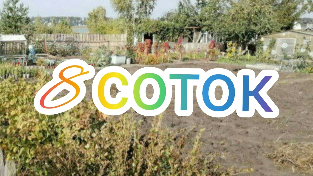 СМАСТЕРИЛИ МОСКИТНУЮ СЕТКУ🤭//КЛУБНИКА ЗАРОСЛА//ДОЖДАЛИСПЕРВЫЙ ПЕРВЫЙ ПОЛИВ 2025