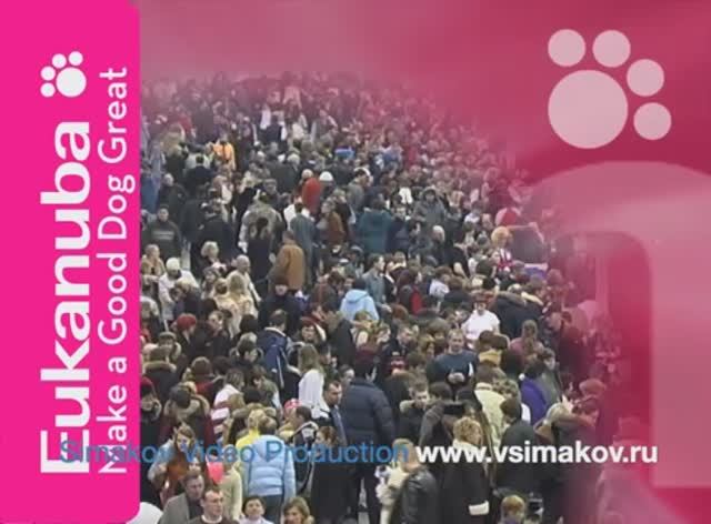 Репортаж о выставке "Евразия" для компании Eukanuba 2009 на английском языке