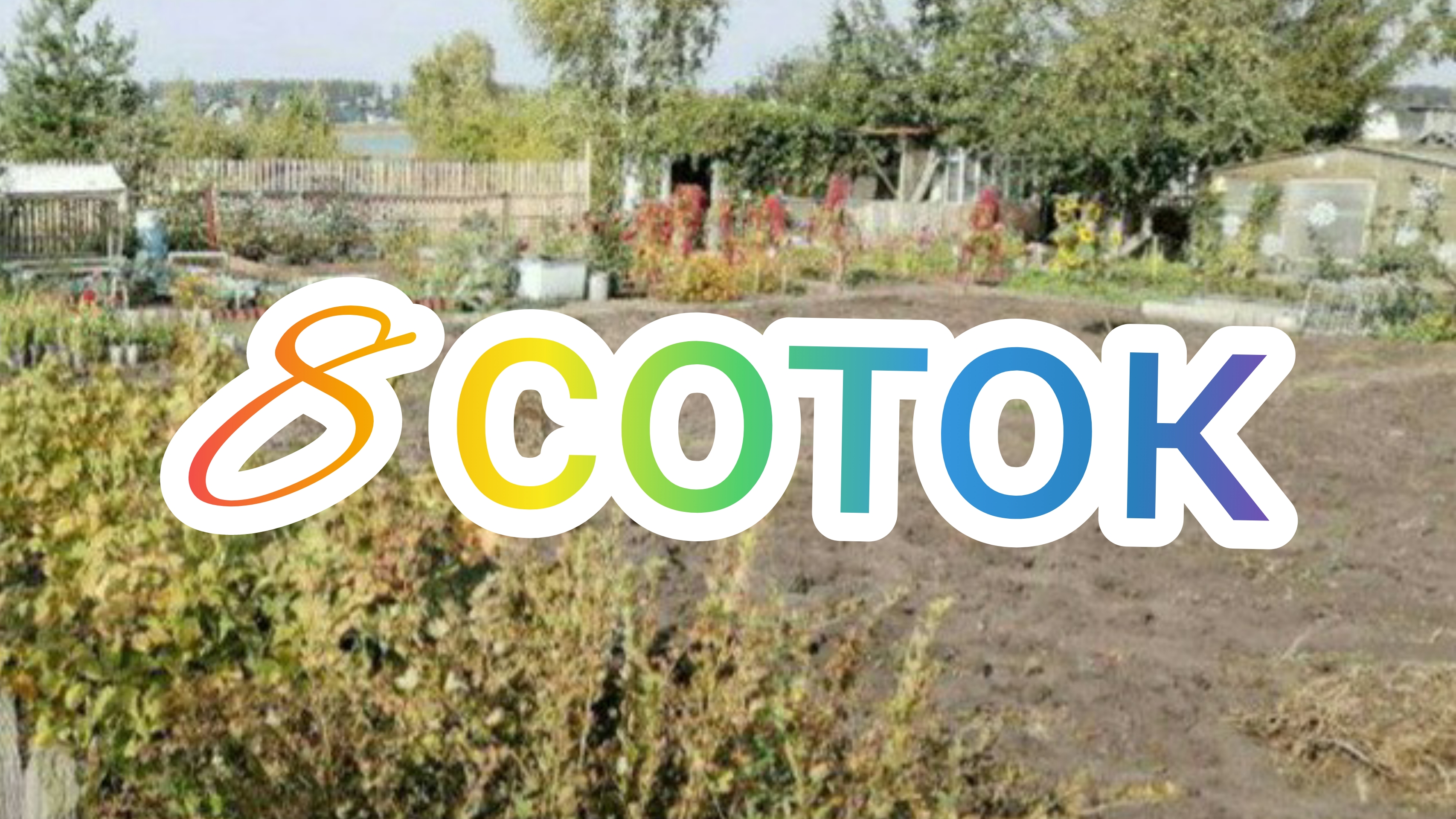 ЗАРОСШАЯ/VS/ПОЧИЩЕНАЯ #КЛУБНИКА🧚