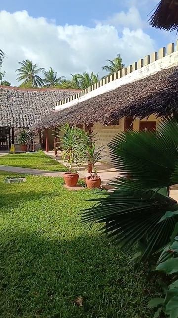 Baobab resort. Кения