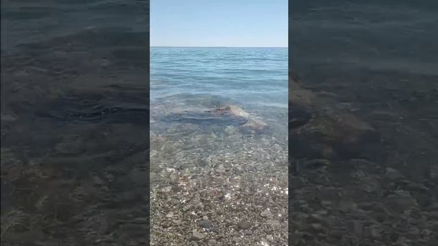 Ливадийский. Ялта.