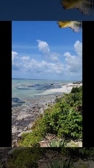 Отель Kasha Boutoque 4* Танзания