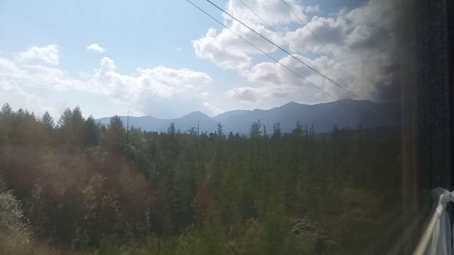 Пик БАМ / На поезде  / стук колес / красоты Забайкалья