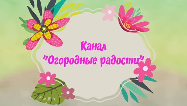 2046.  Ах кабачок,кабачок.ВПЛ.