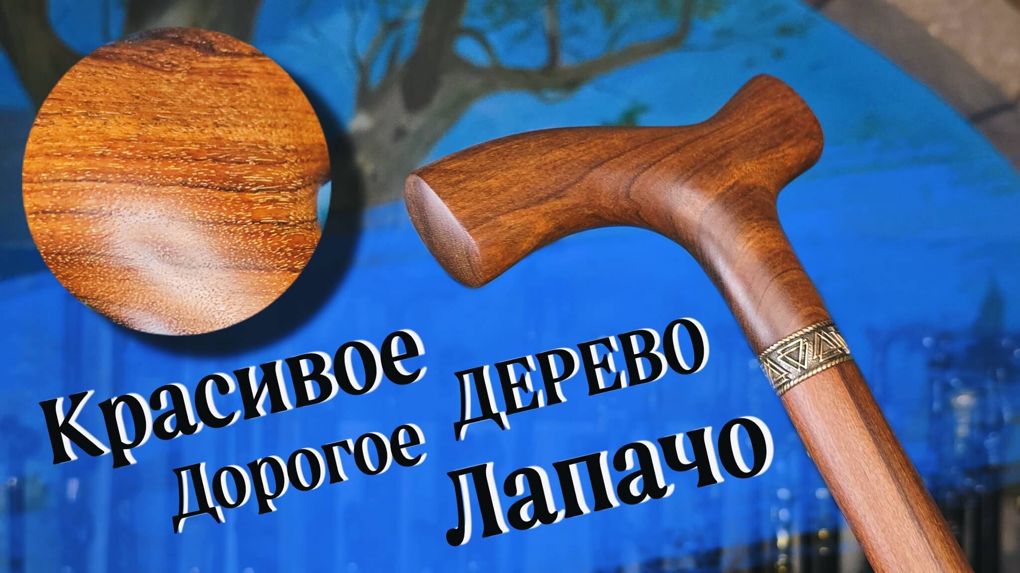 Трость, которую легко отремонтировать | Ипе