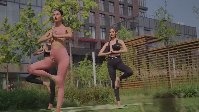 Жизнь в гармонии с окружающей средой