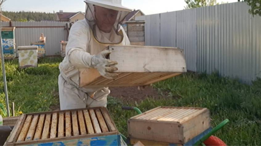 Установка магазина в мае. Когда и зачем.