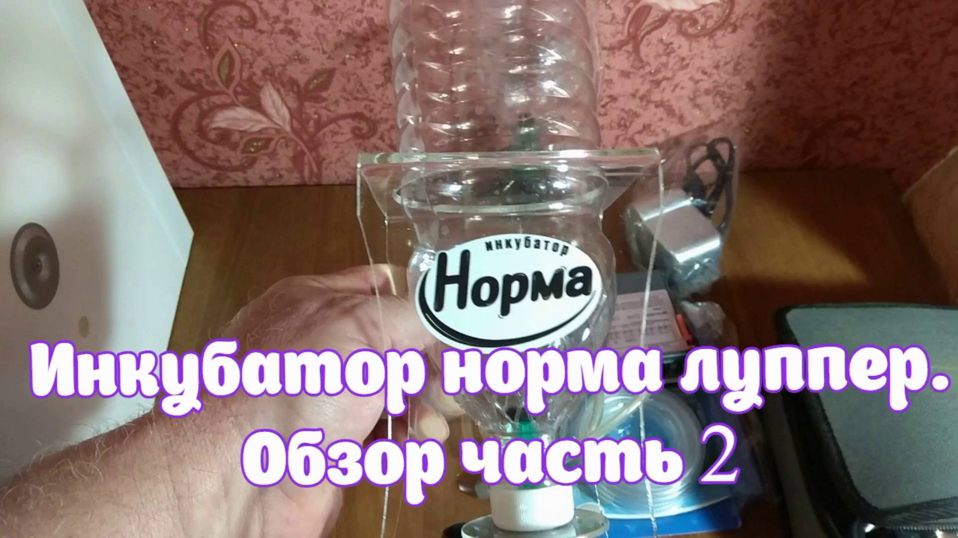 Инкубатор Норма Луппер. Обзор часть 2