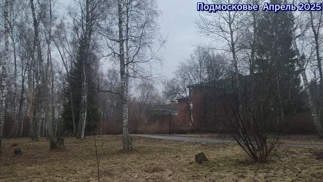 2025  апрель Подмосковье