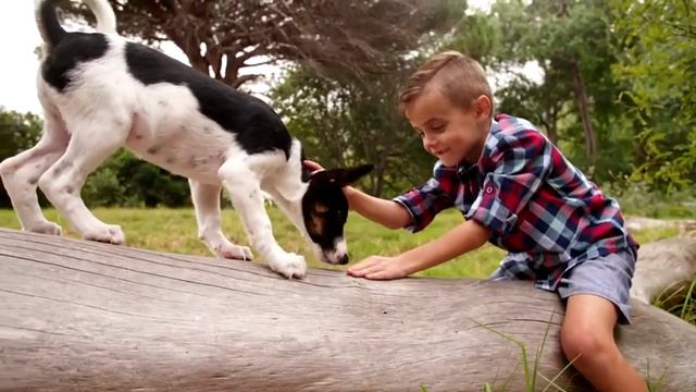 KIds Box 1 Unit 6 l CLIL video l Kids Box 1 New generation l Senses for kids