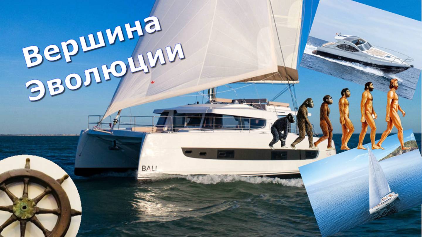 Пирамида покупок ⚓️вершина эволюции - катамаран Bali !!!