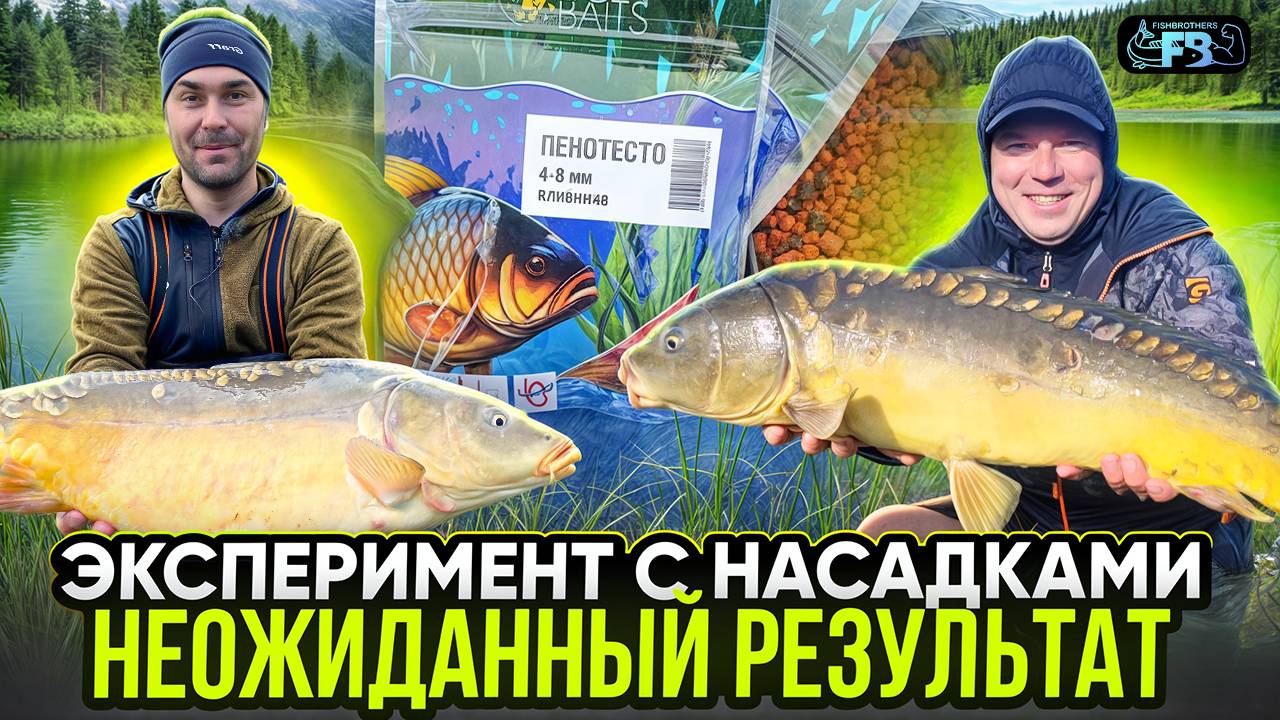 Какая насадка для карпа лучше? Неожиданный результат!