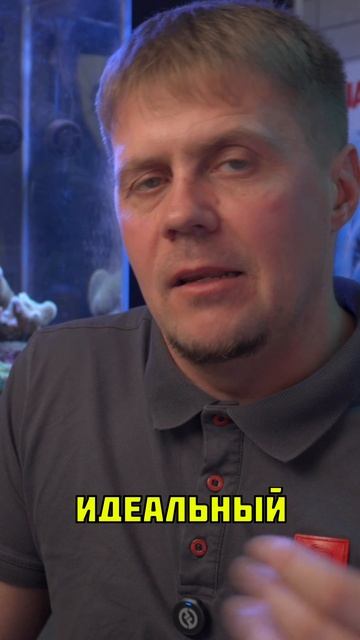 Мне пришла новая камера Sony ZV-E10 II! В чём отличие от прошлой версии?