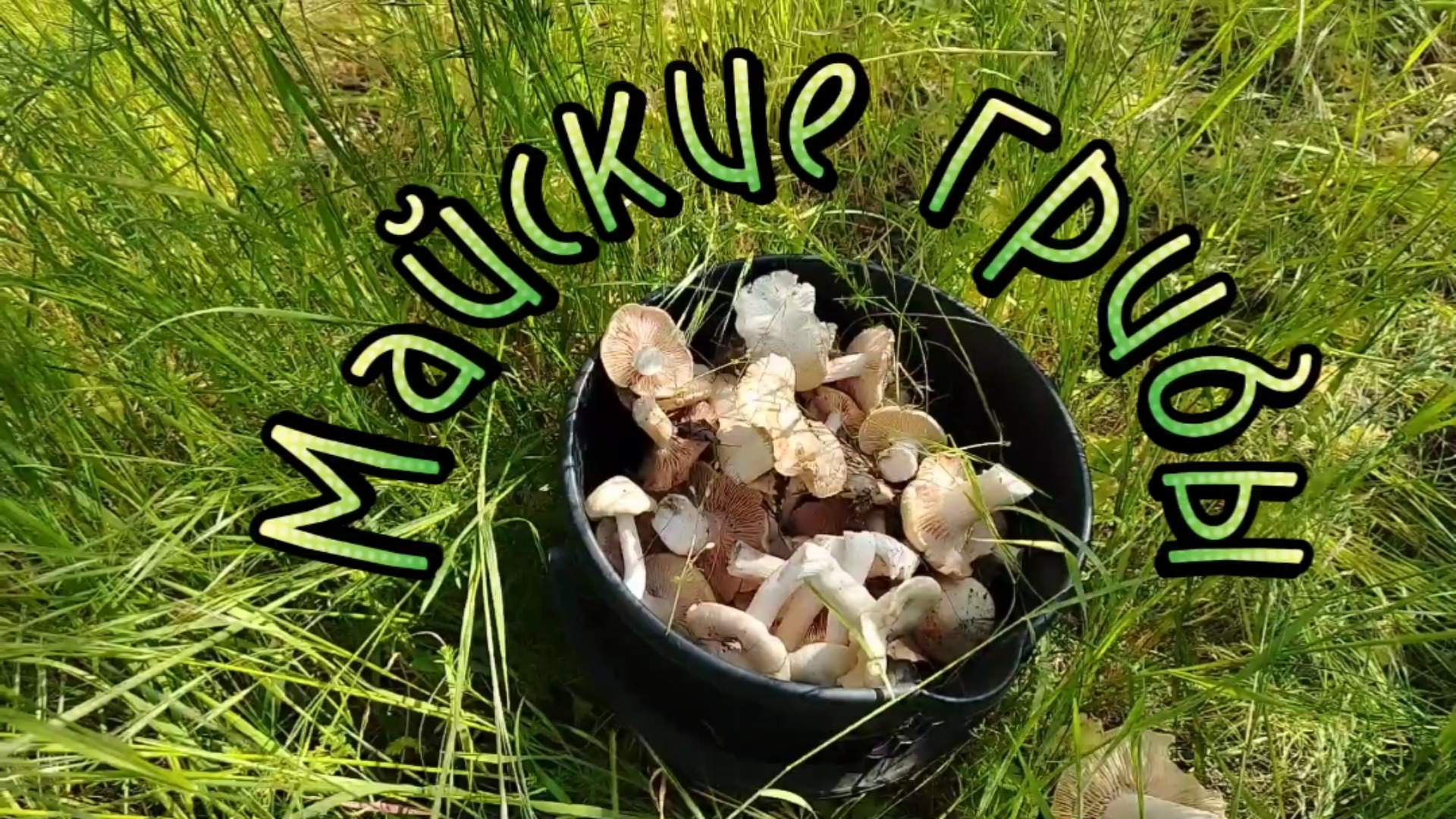 И снова за рядовкой