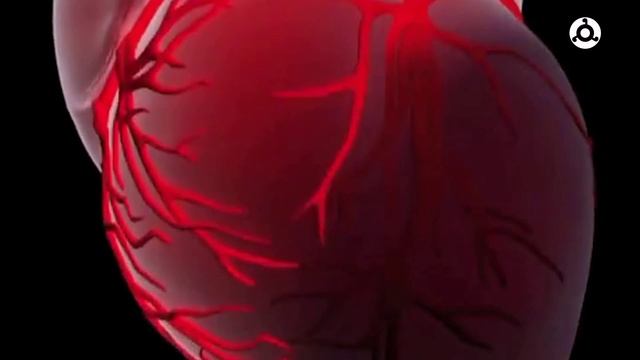 Здоровье. Новые отделения кардиологического диспансера