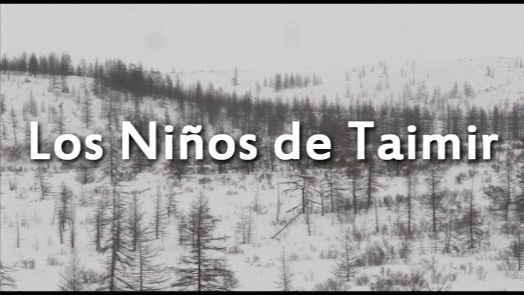 Дети Таймыра