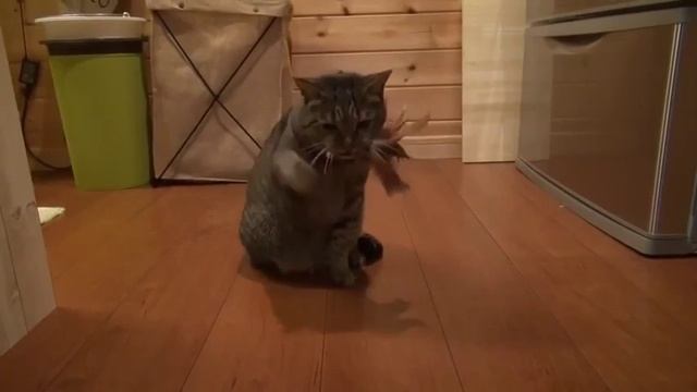 Варган плюс битбокс.