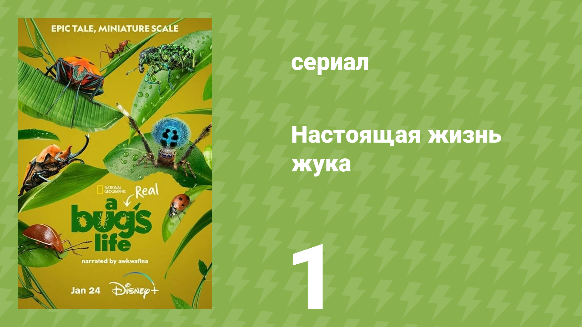 Настоящая жизнь жука 1 сезон 1 серия «Большой город» (документальный сериал, 2024)