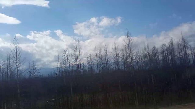 Ритмичный стук колес / звеньевой путь / в глухой тайге / БАМ