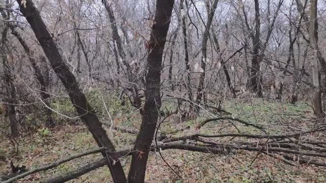 Идём по тропам войны Ч. 1.