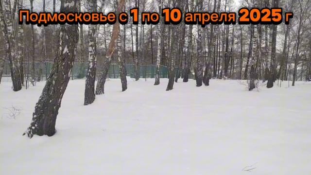 Подмосковье с 1 по 10 апреля 2025 г