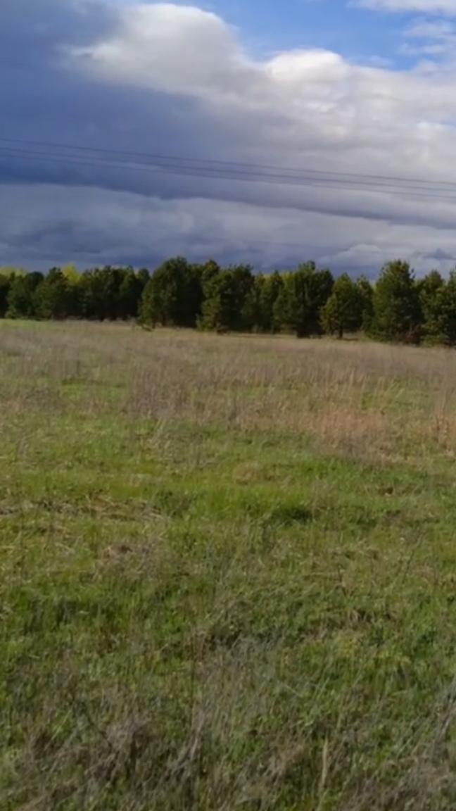 Красивые деревенские поля